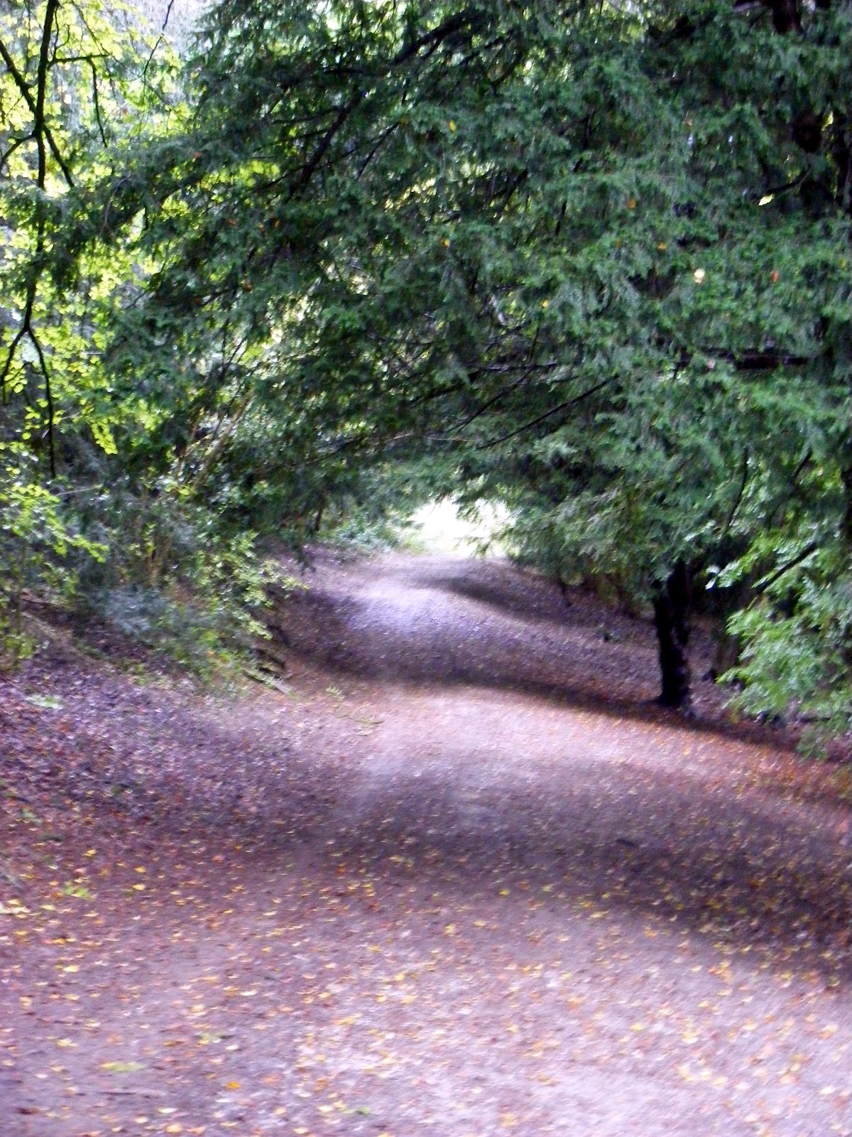 TheLondonLoop: London Loop-Hamsey Green to Banstead 3rd October 2012