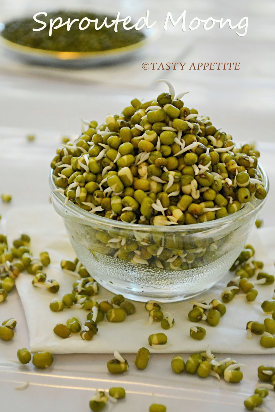 HOW TO SPROUT MOONG DAL ? / HOMEMADE SPROUTS RECIPE / MOONG DAL SALAD / STEP BY STEP RECIPE
