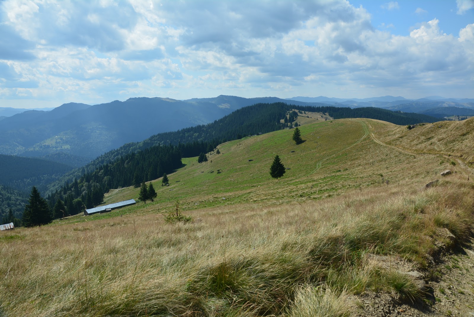 Munte, fotografie si nu numai: Muntii Stanisoarei: traseu Borca ...