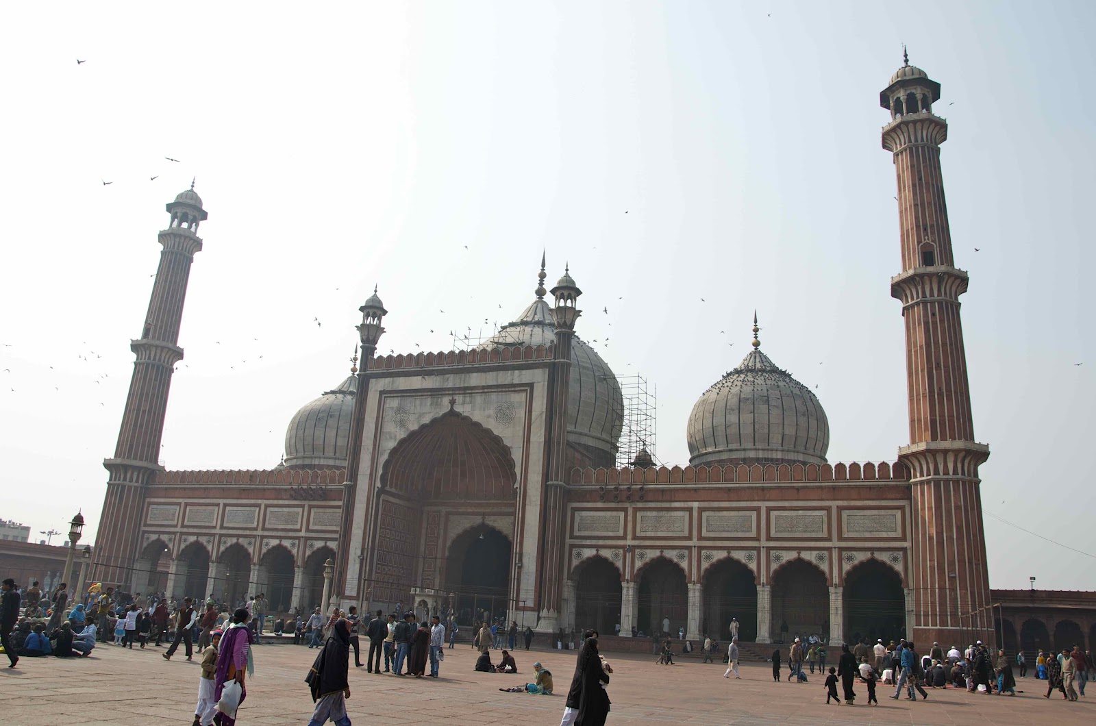 Expect A Culture Shock - A Journey through India with an impromptu of ...