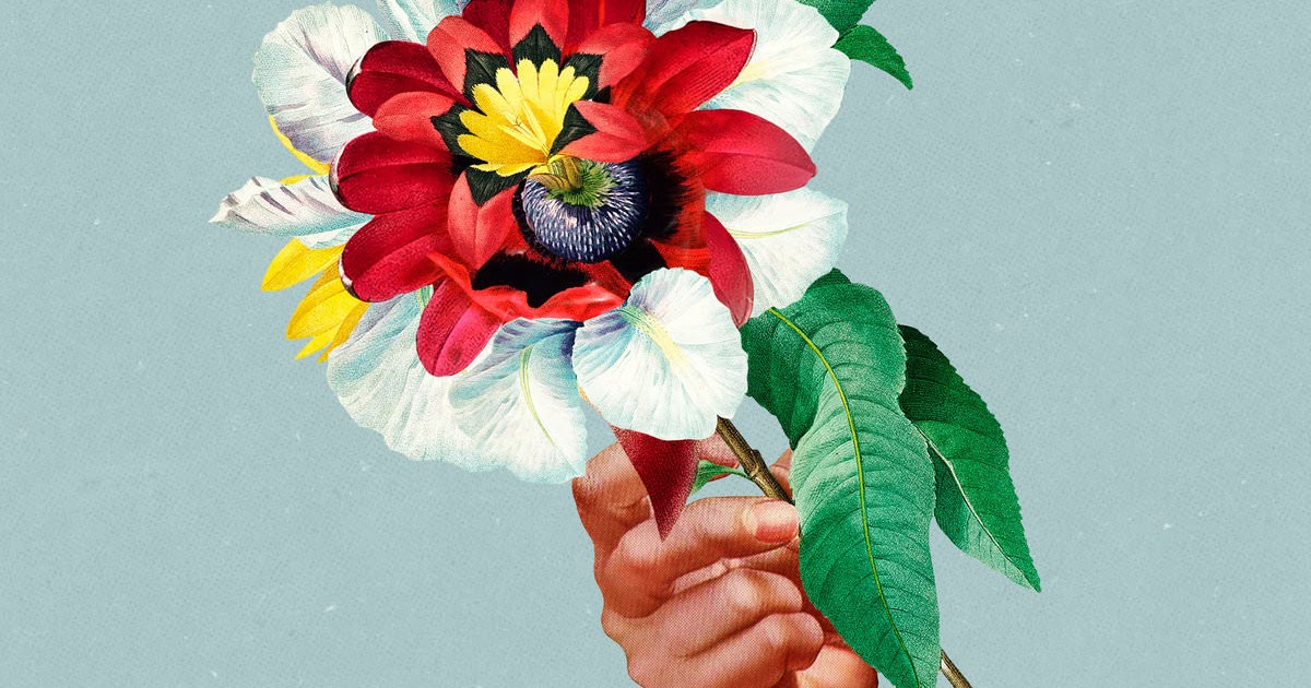 The Curtain With: Maribou State - Kingdoms In Colour (2018)