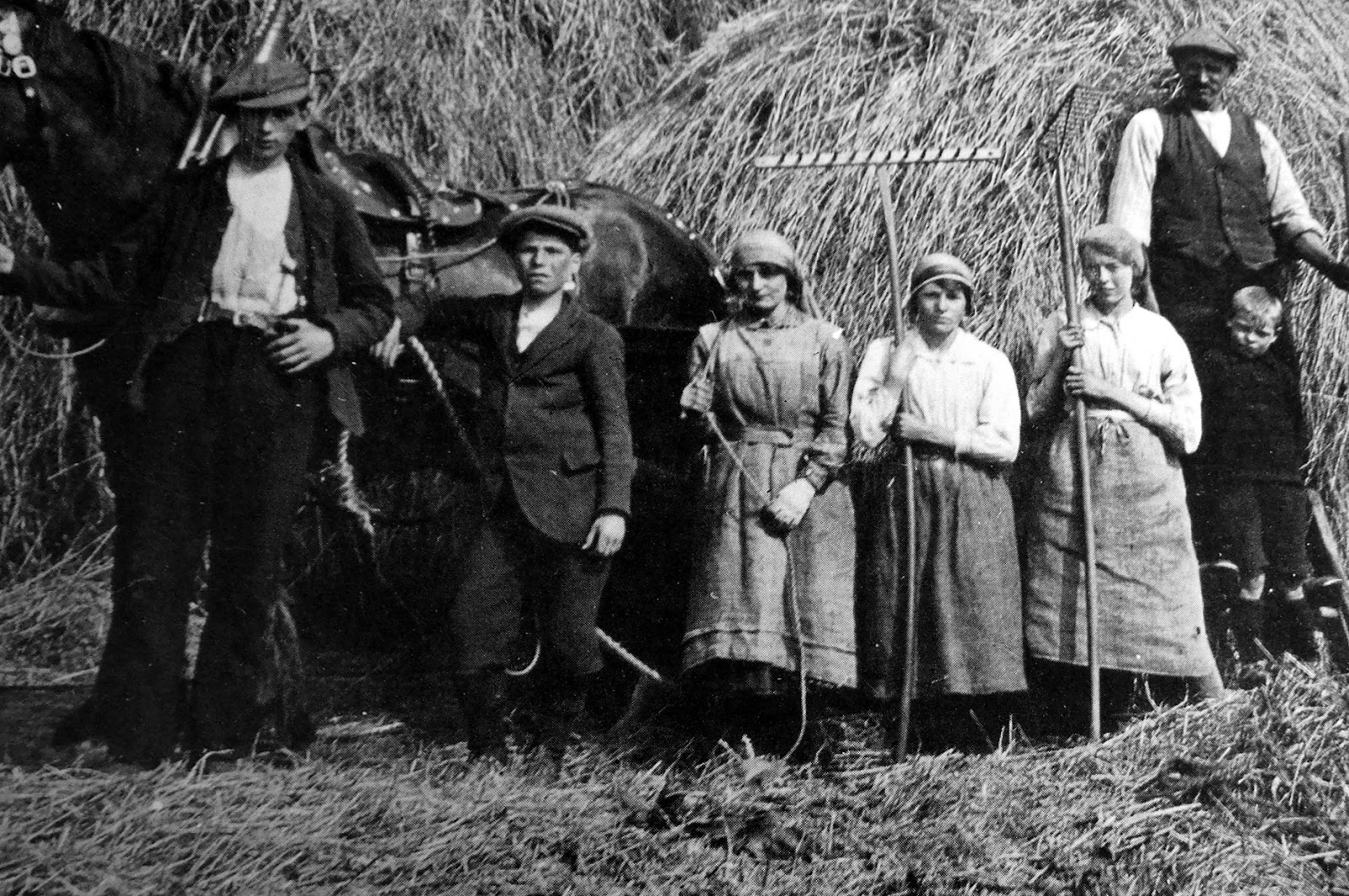 Tour Scotland: Old Photograph Farm Workers Stacking Hay East Lothian ...