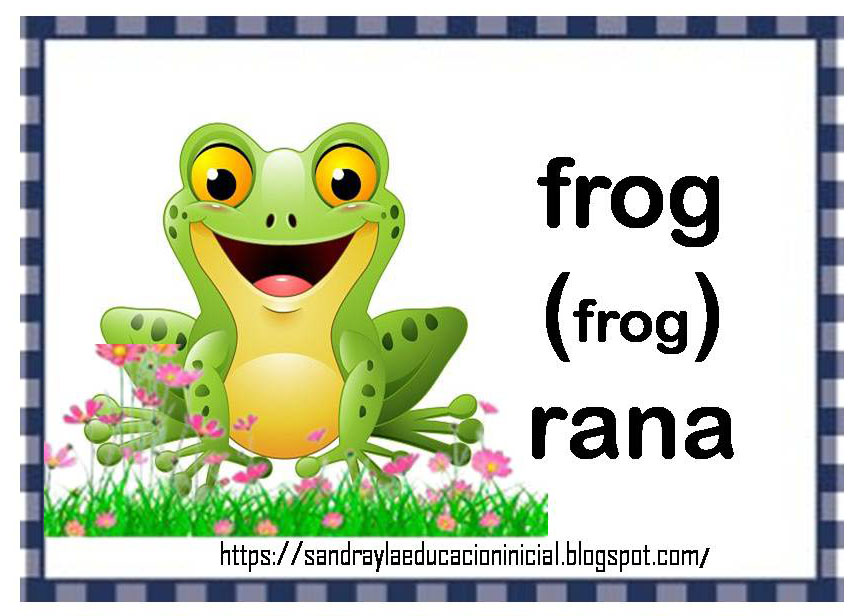 16 LÁMINAS DE ANIMALES PARA APRENDER EN INGLÉS