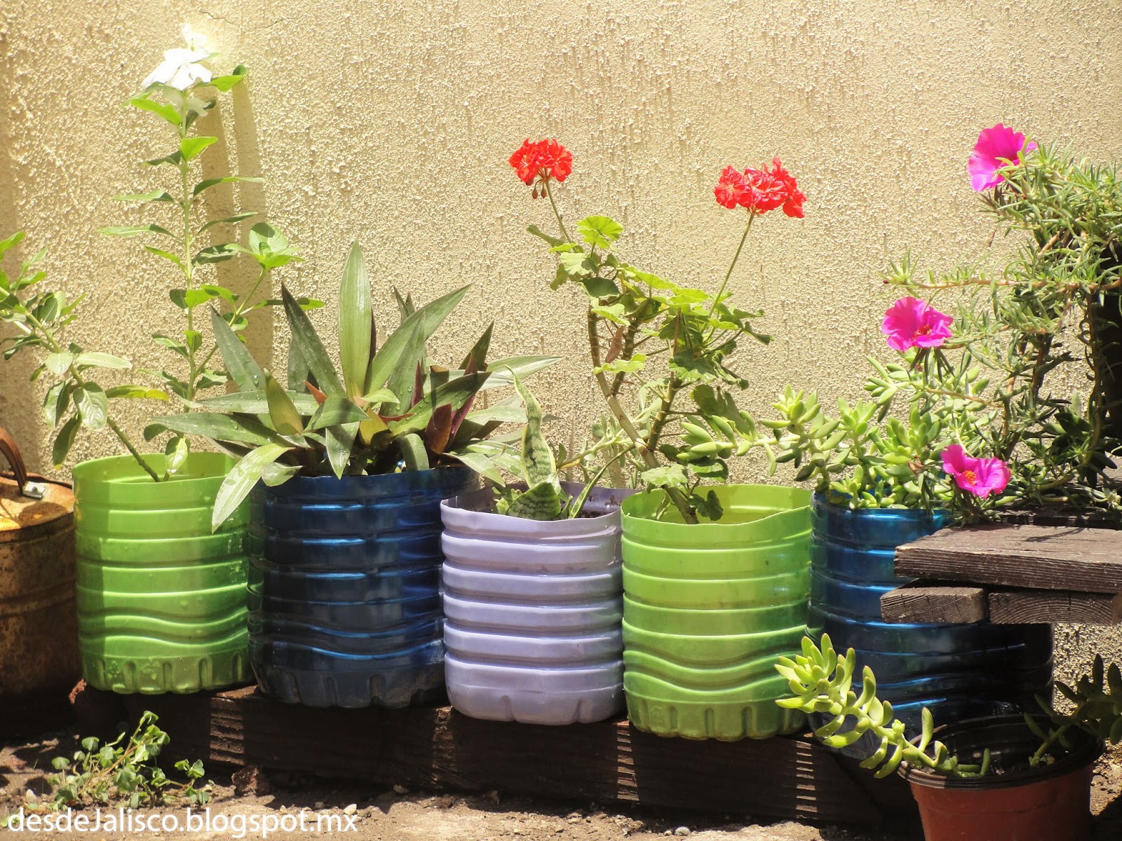 Reciclado creativo con envases de plástico - Desde Jalisco