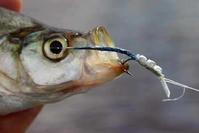 Flyfishing Russia: "Classic" wobbler-flies, part 2