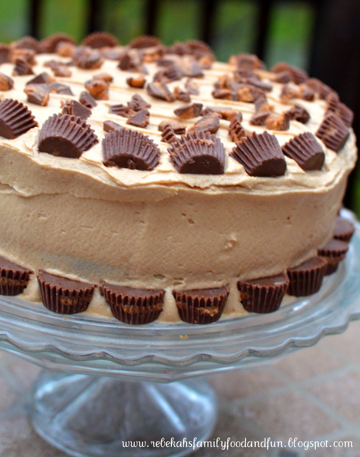 Family, Food, and Fun: Reese's Peanut Butter Cup Cake