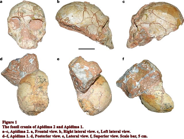 Αριστομένης ο Μεσσήνιος: Apidima Cave fossils provide earliest evidence ...