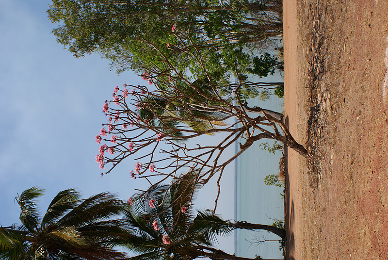 Nele & Andrew Around Oz: Cullen Point Campsite, Mapoon, QLD