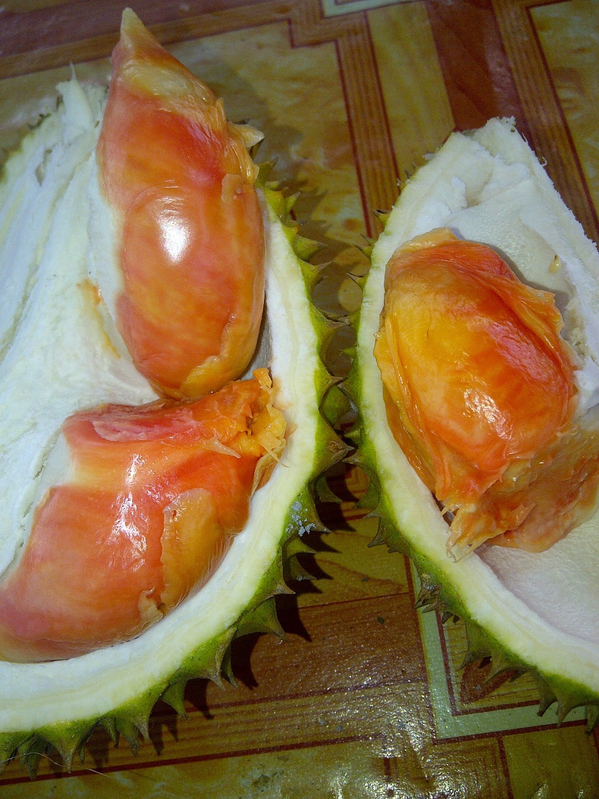 Durian Merah Banyuwangi Red Durio from Banyuwangi: DURIAN MERAH ...