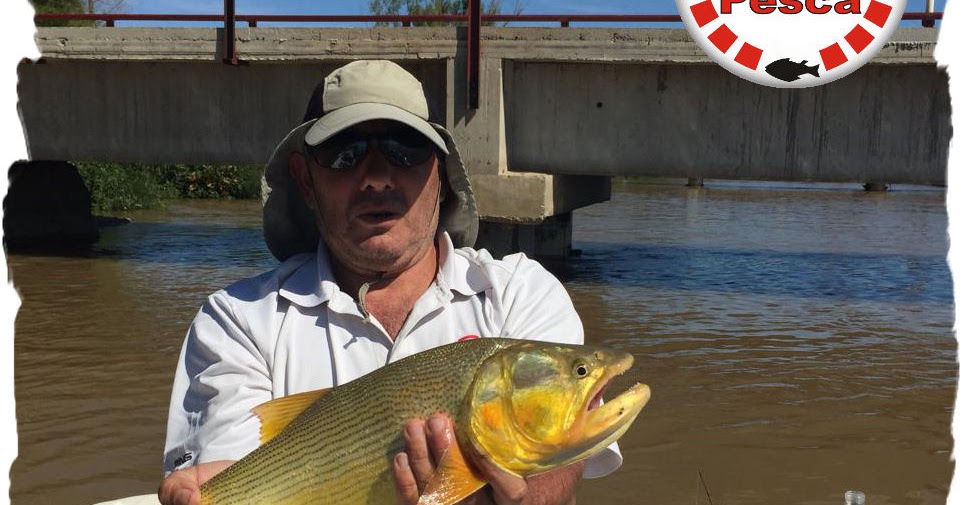 Area de Pesca: El Pique en el Paraná Guazú, por Gabriel Cannito, al 16-02-18