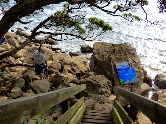 Cathedral Cove – New Zealand’s Must-Do Beach | Galley Wench Tales