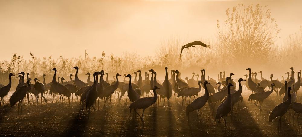 Najlepši citati o najšarenijem godišnjem dobu: Jesen je kao smešak, pun ...