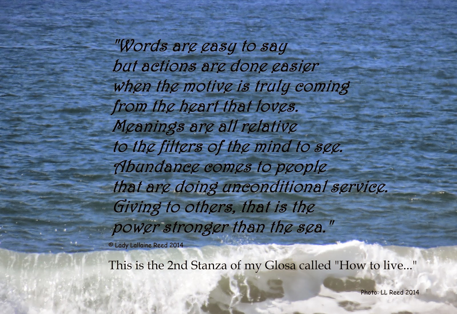 Lady Lallaine Reed's Positive