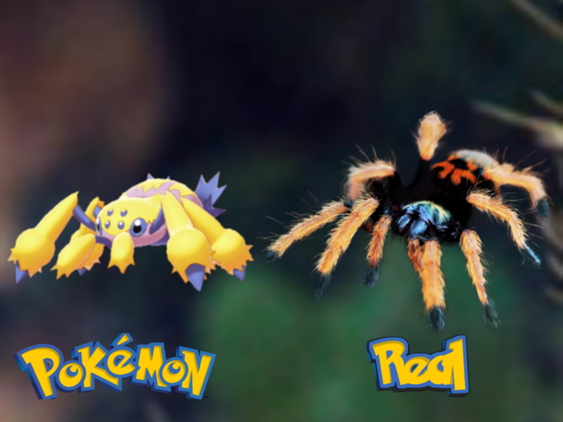 Meet the Real-life Version of your Favourite Bug-type Pokémons here ...