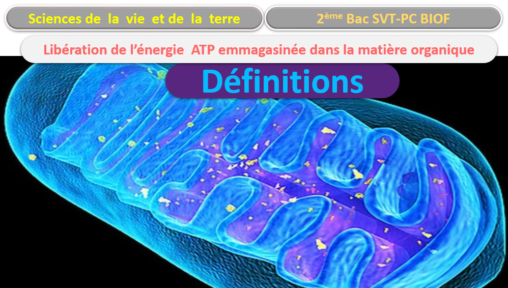 Télécharger | Définitions | 2ème BAC SVT Biof | Libération de l’énergie ...