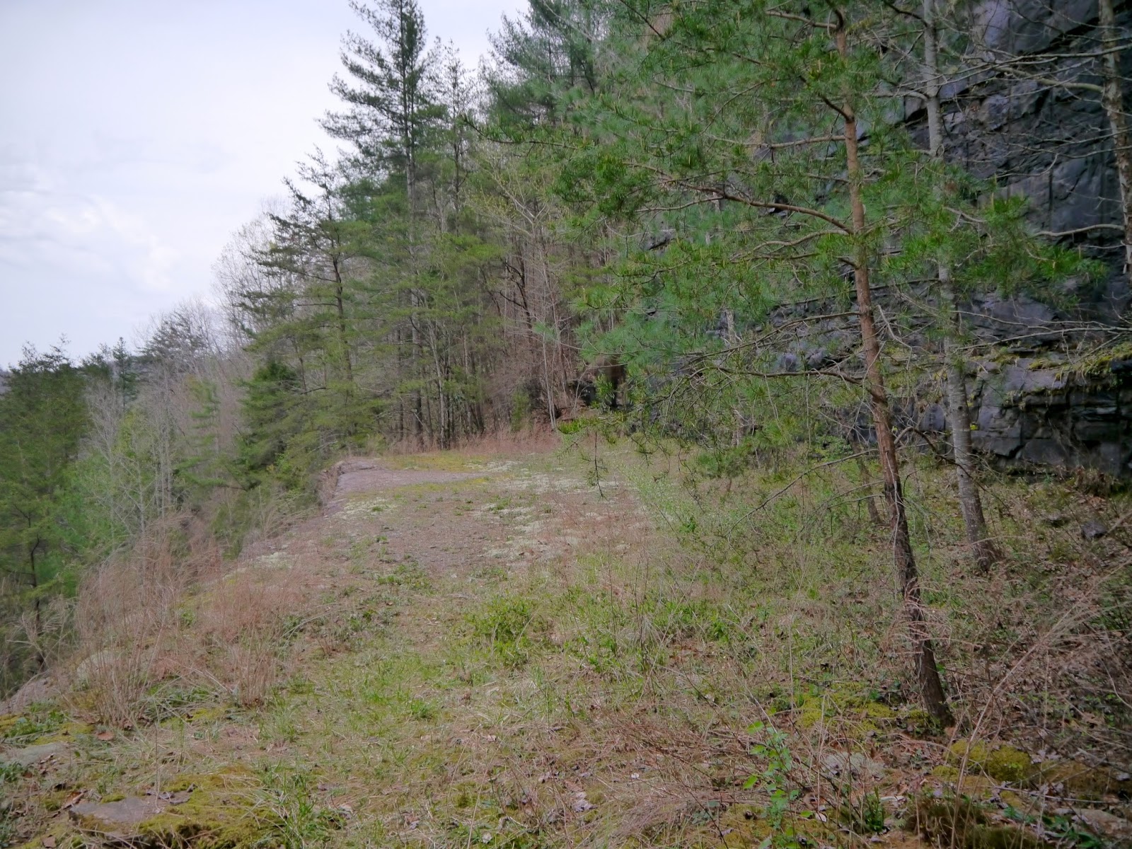 American Travel Journal: Emory River Gorge Section - Cumberland Trail ...