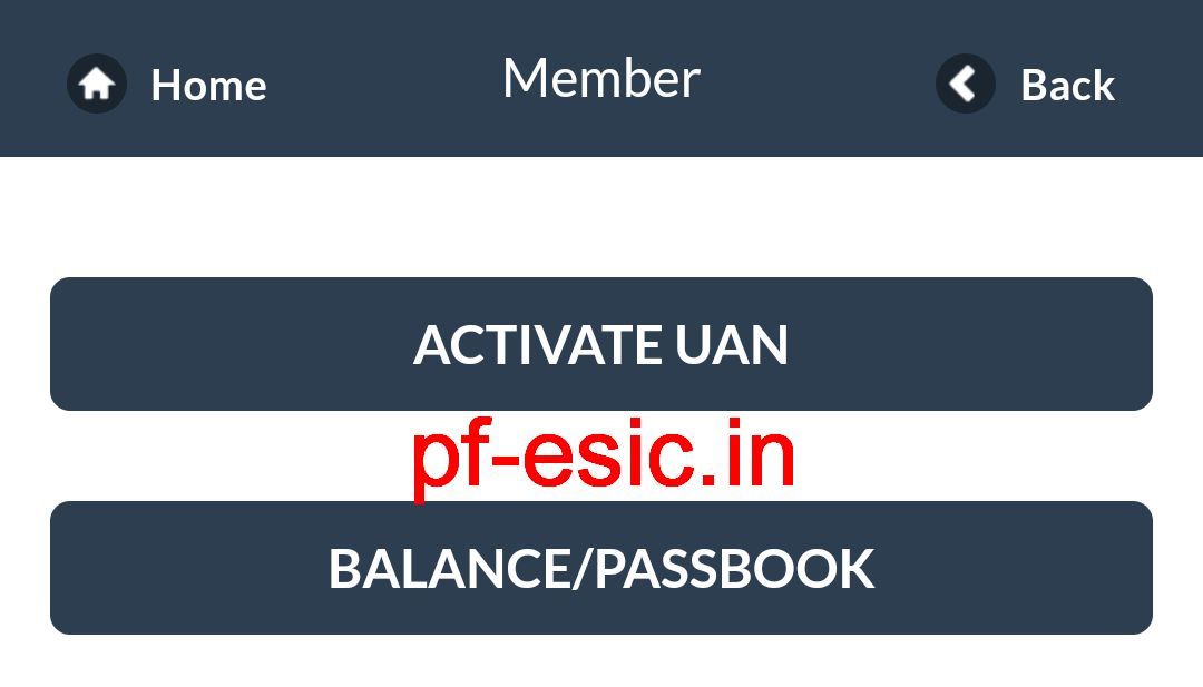 How to Check EPF Balance and view EPF Passbook on Mobile | Provident ...