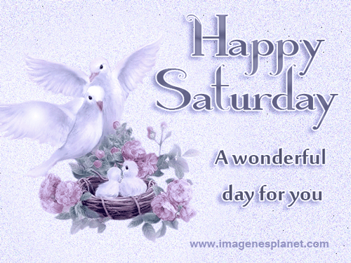 Feliz sabado con frases y palomas con flores