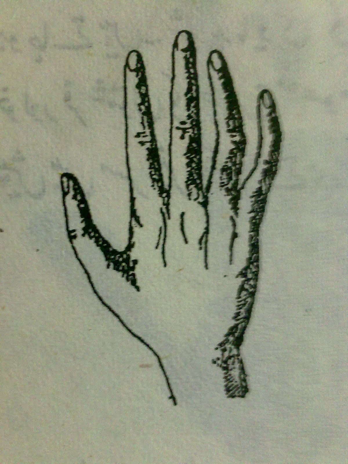 Palmistry Guide: Seven types of Hands in Palmistry-The basics of hand ...