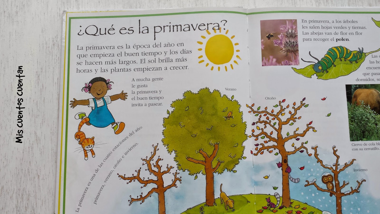 Mis cuentos cuentan: Primavera. Estaciones del año