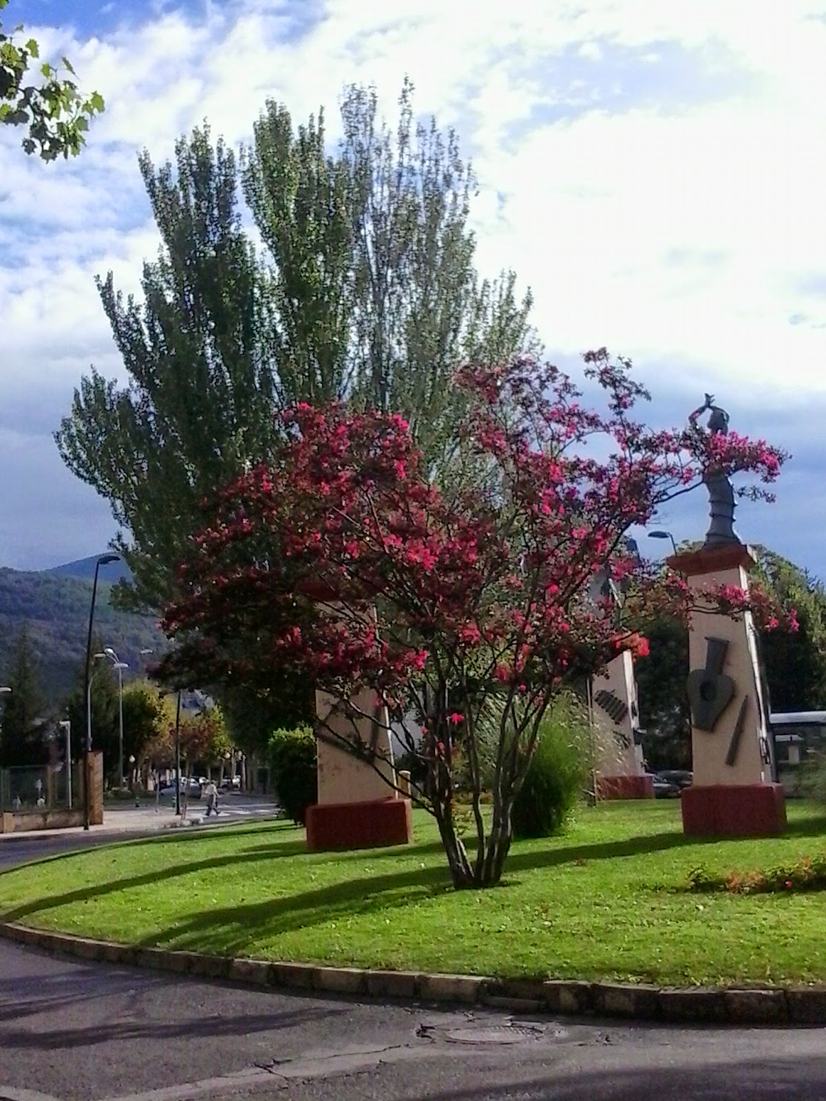 Jaca in English: Jupiter tree