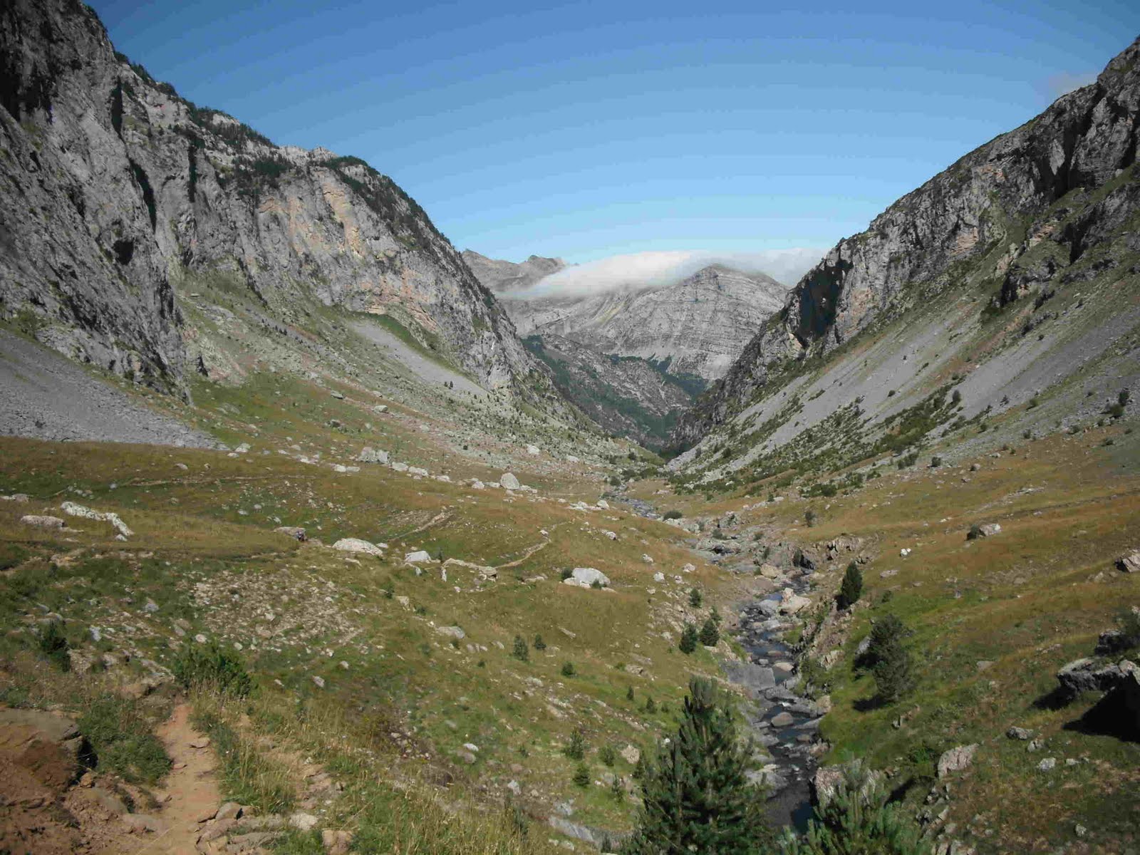 LA CABRA DE MONTE: ASCENSION AL PICO DE LA MOLETA