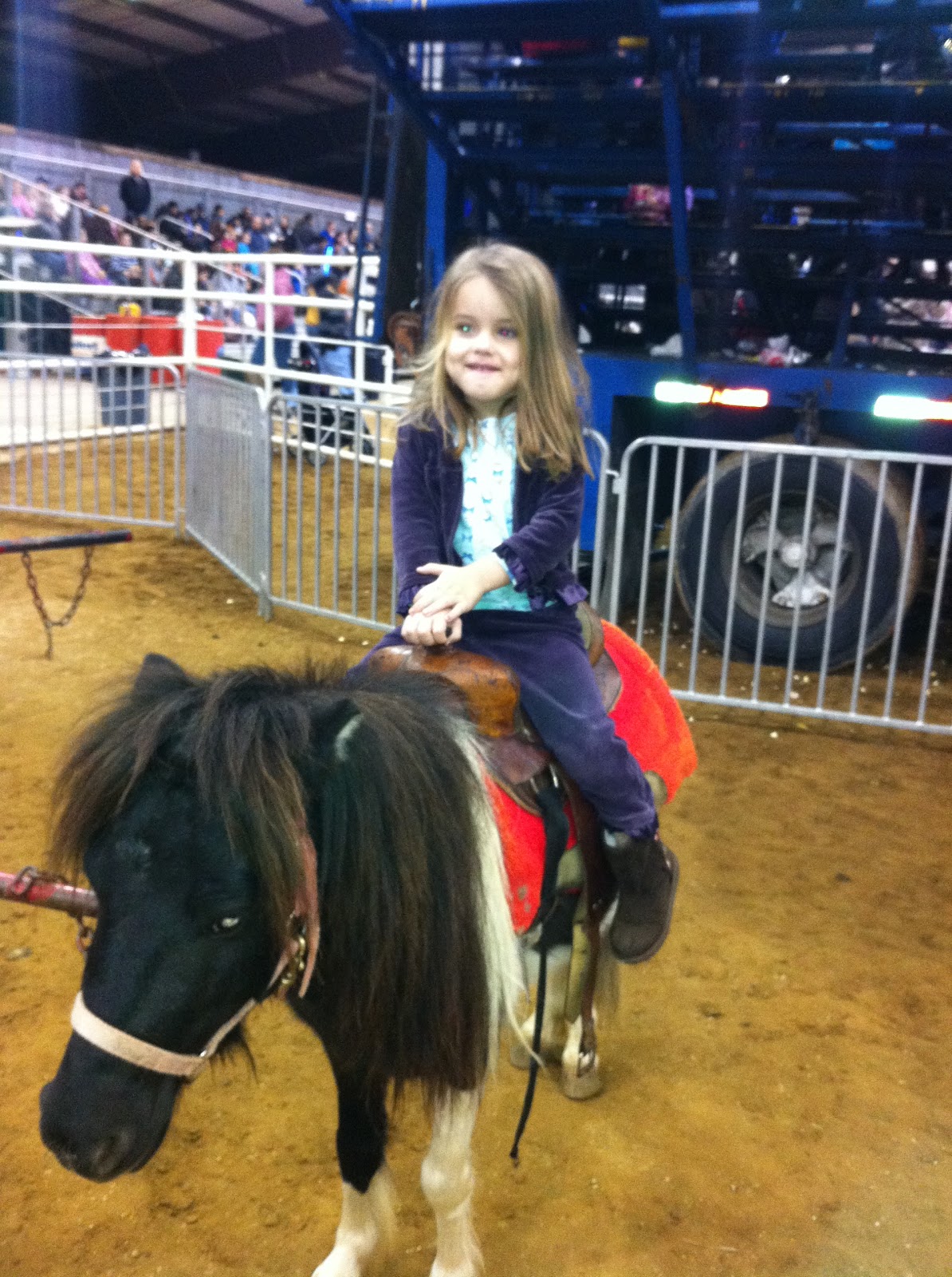 Shankupdate: Riding Ponies at the Circus