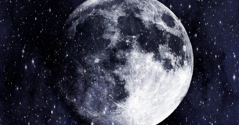 MENE MESECA U ŽIVOTU BILJAKA I LJUDI