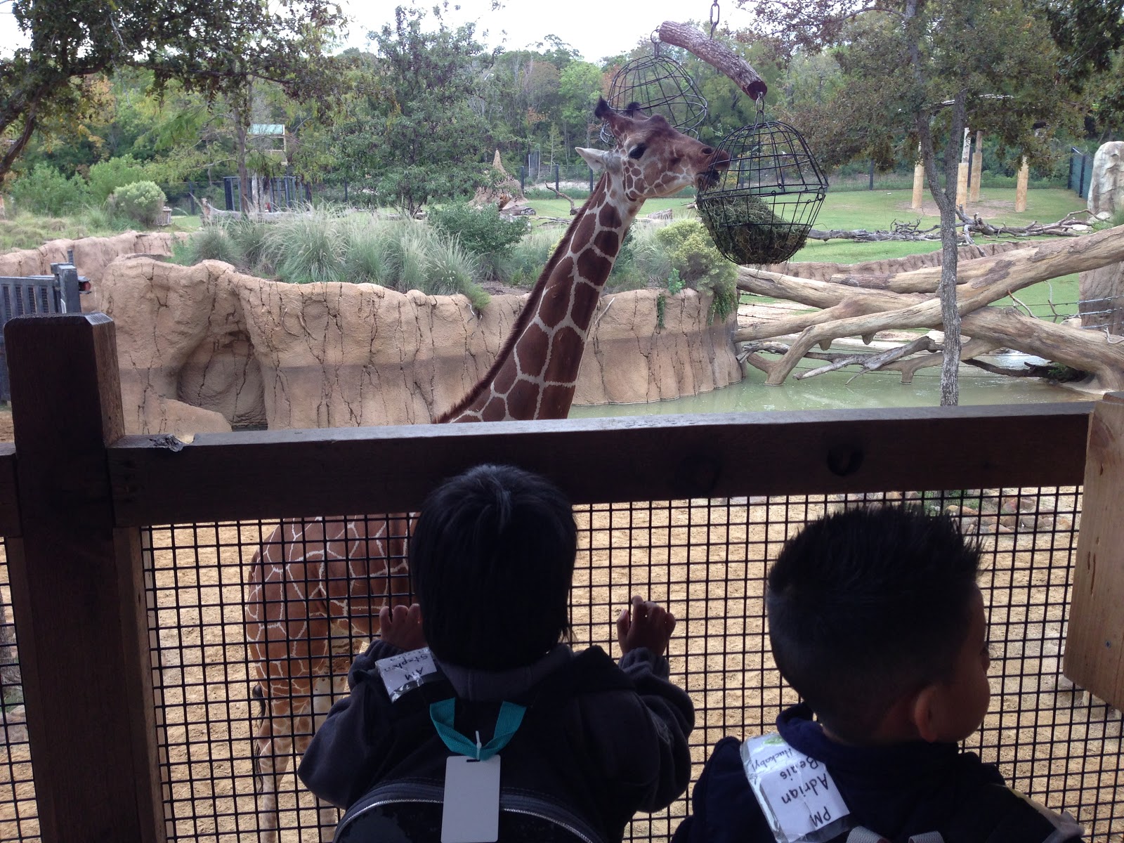 Mrs. Huckaby's Pre-K Class: El paseo al Zoológico