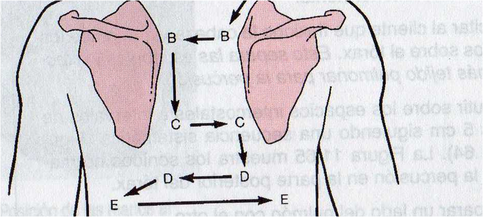 Enfermería Básica UCV : — TORAX ANTEROPOSTERIOR