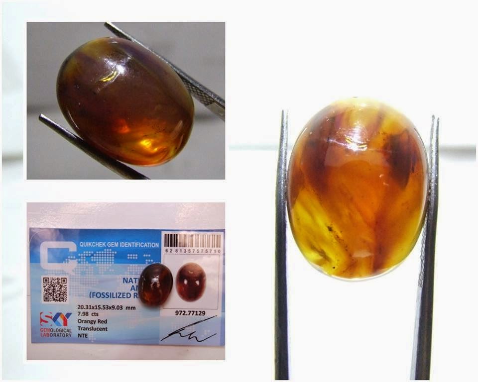 Natural Amber (Fossilized Resin) | Indo Permata Gallery