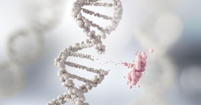 Bagaimana Manusia Mengenal Gen, Hingga Lahir Ilmu Genetika? | Belajar ...