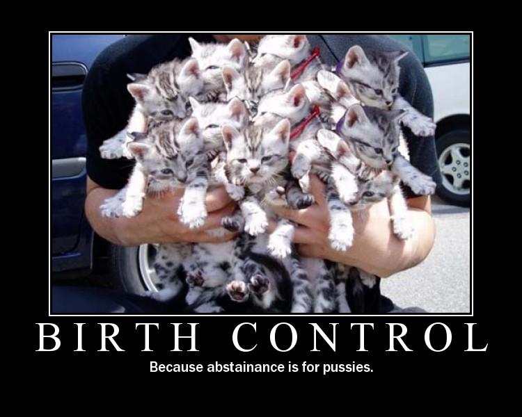 Birth Control | Funny Cat Pictures