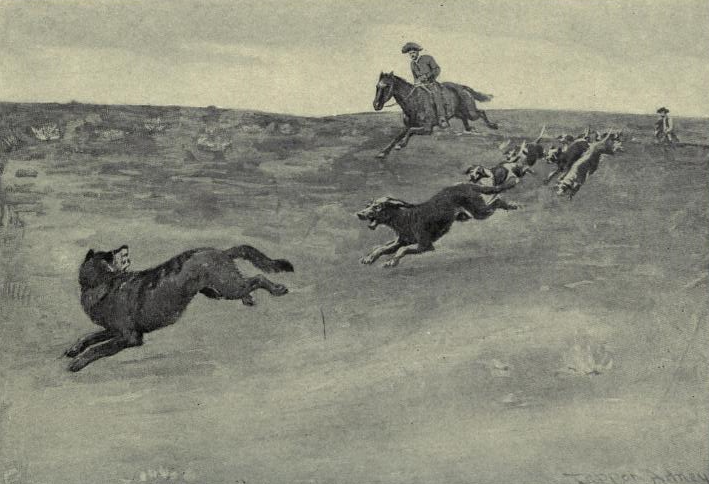 Heroes, Heroines, and History: What Happened to the Wolves in America?