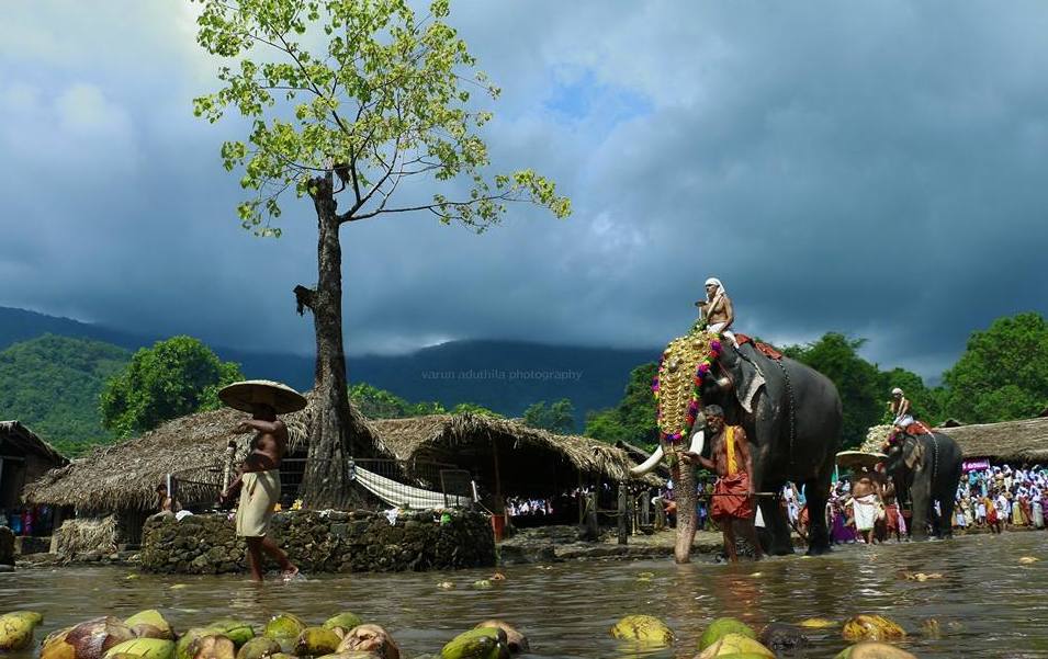 Sacred Objects In Hinduism - Trees, Lotuses, Cows