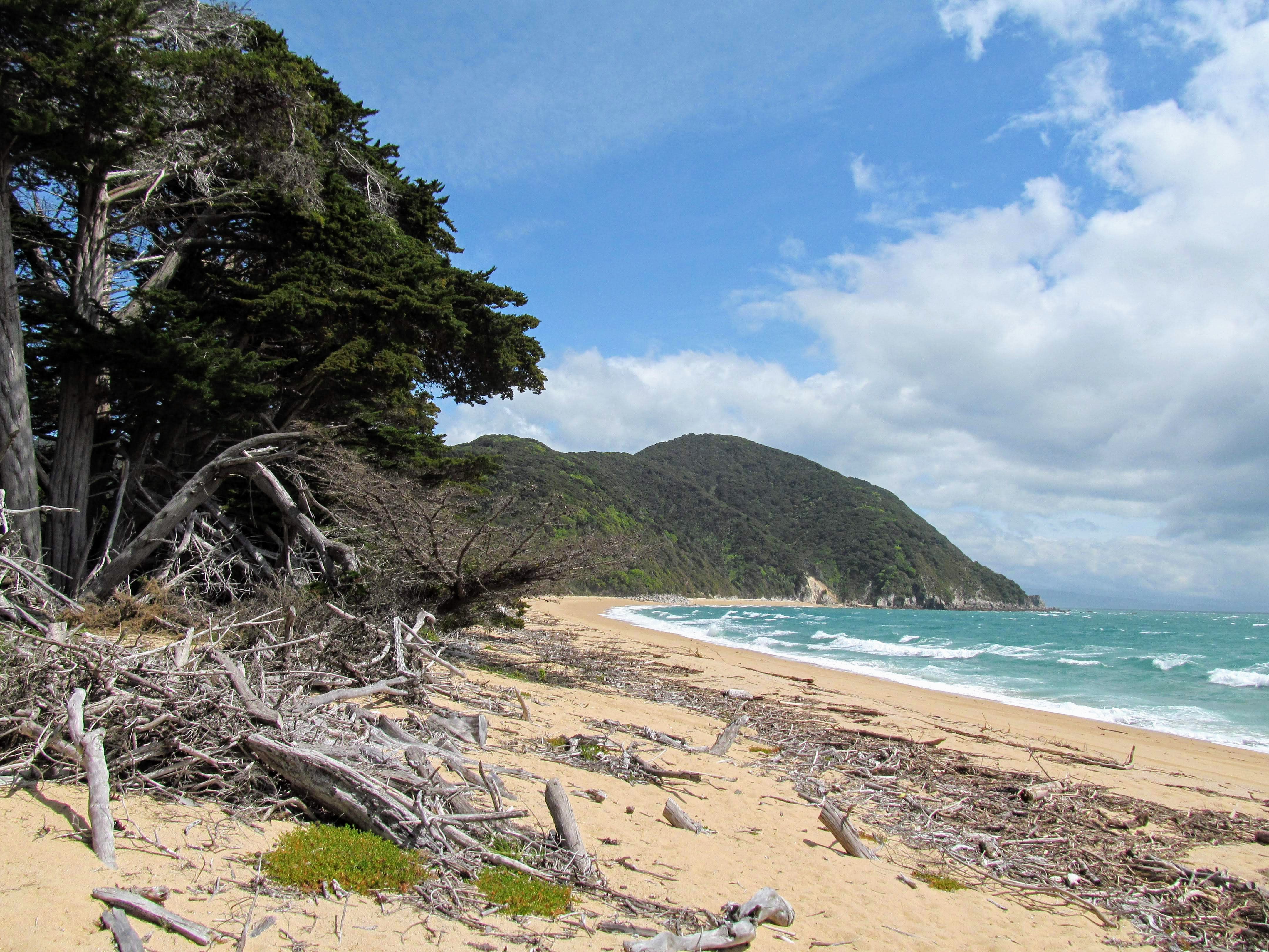 Tramping in the New Zealand backcountry: NZ Bush Adventures: Wainui ...