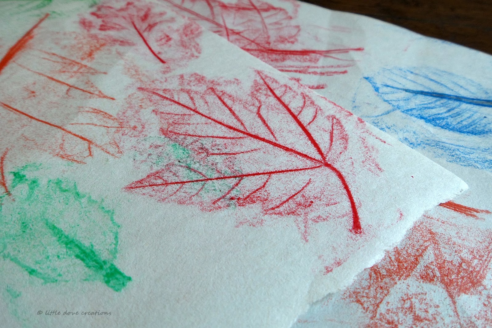 Little Dove Creations: toddler leaf rubbings