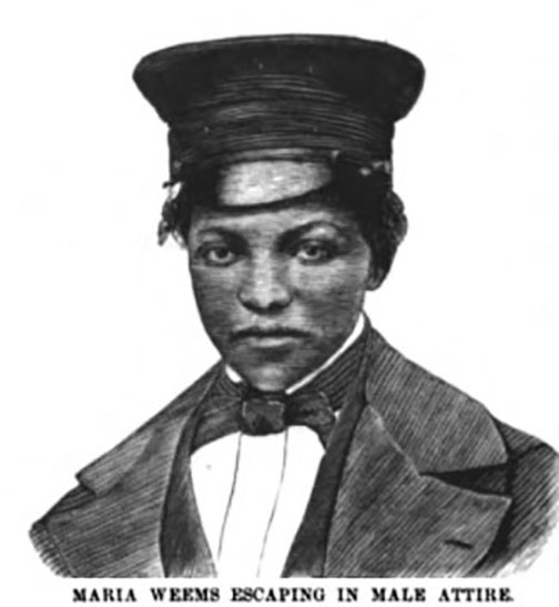 Civil War Quilts: Freedom's Friends #6: Mary Millburn's Canada Lily