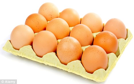 Denise´s Account of Our Lives in Cochambamba: An Even Dozen