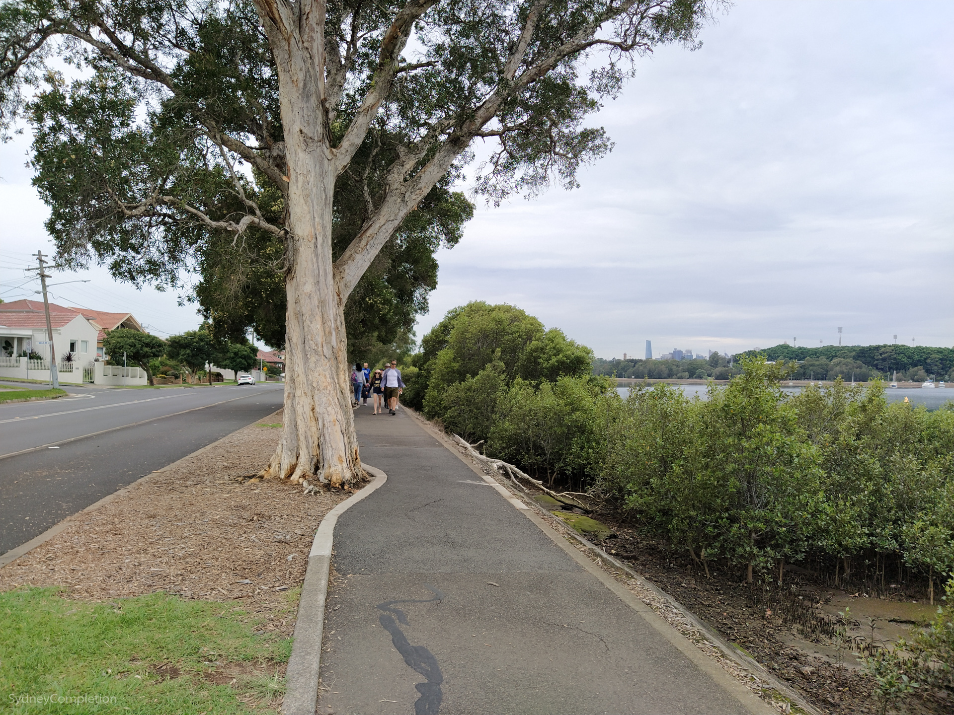 Bay Watch: Russell Lea and Rodd Point - Completing Sydney