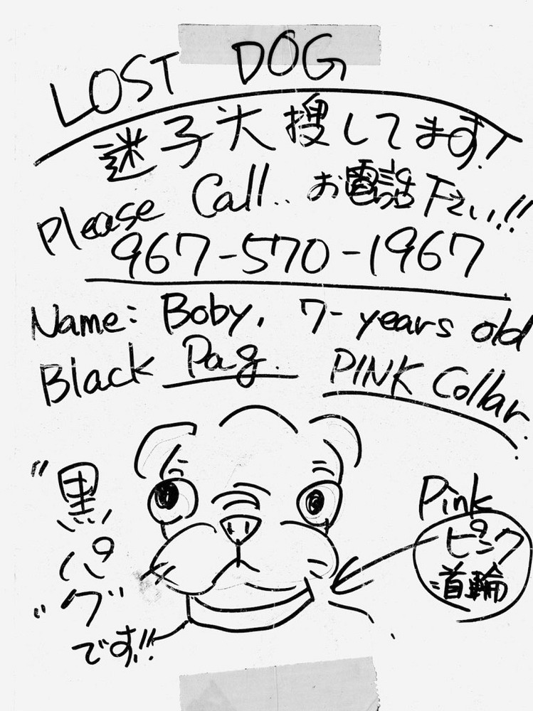 The Wonderful Art of Missing Pet Posters | Amusing Planet