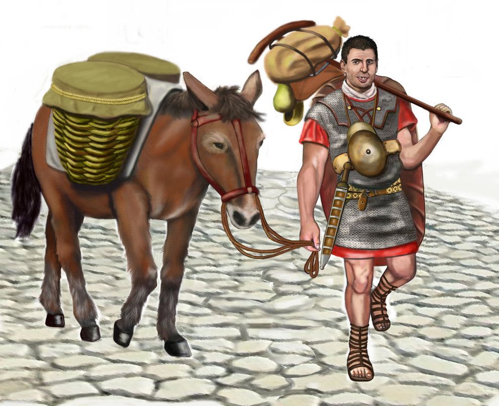 La mula: homenaje a un equino olvidado.