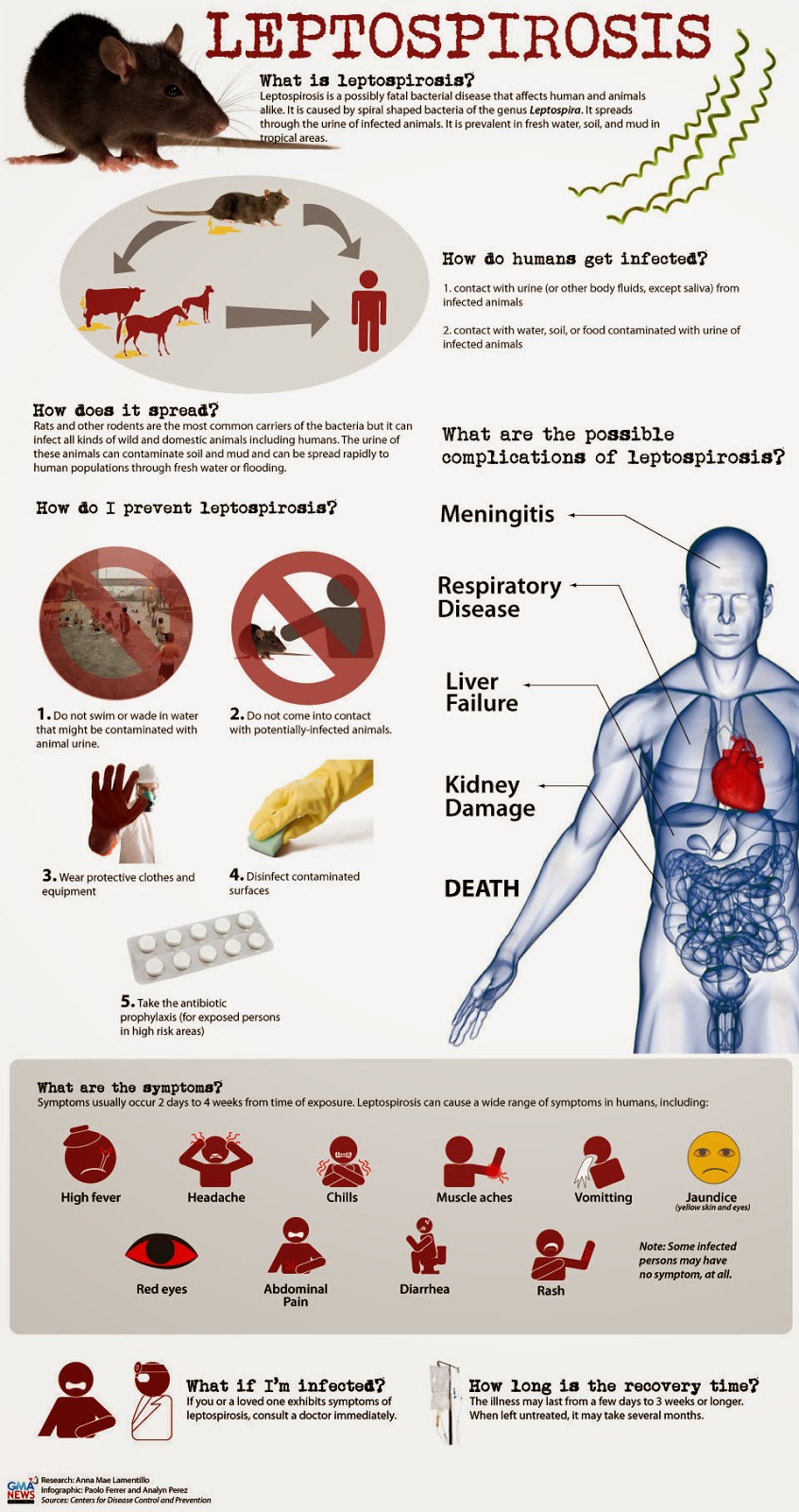 Kencing Tikus : Faktor, Tanda, Rawatan & Pencegahan - Ira Mommy Si Kembar