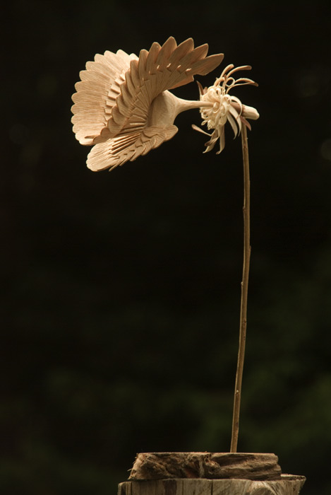 Sean Hellman: Hummingbird fan bird, with real wooden flower!