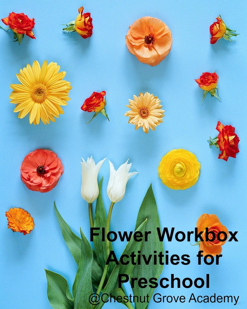 Chestnut Grove Academy: Weekly Workboxes–Week 31 (Flowers)