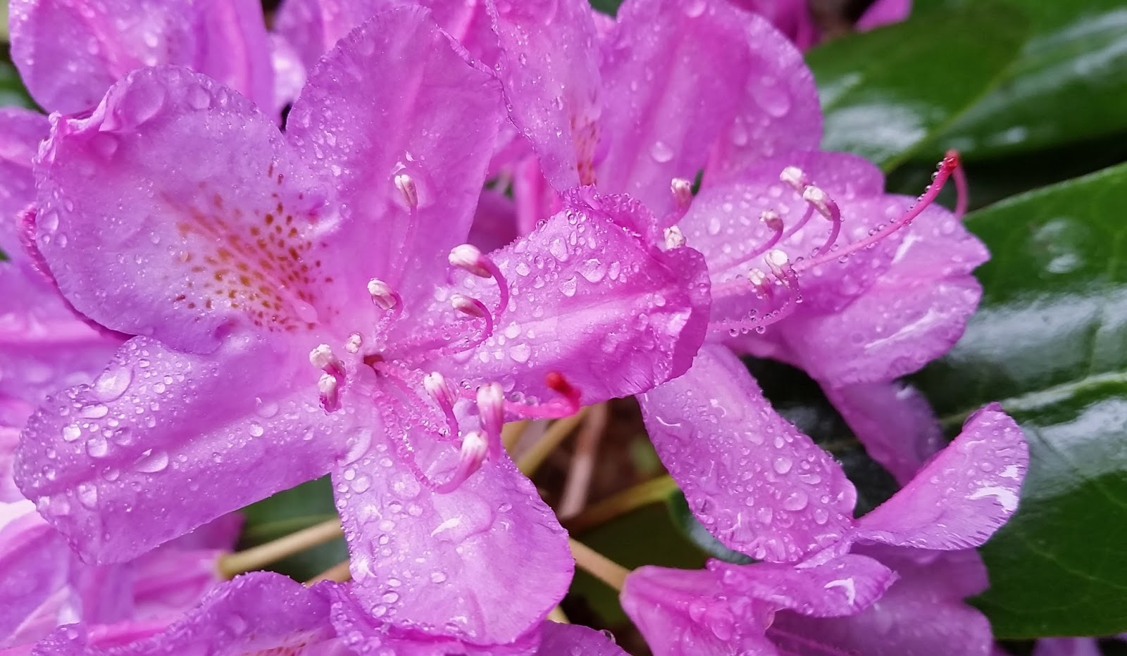 Joe's Retirement Blog: Aging, Manomet, Plymouth, Massachusetts, USA