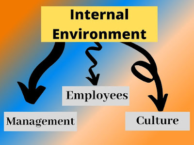 Study with me: Internal Environment of the Organization