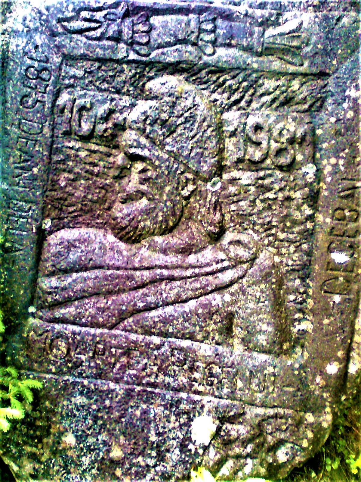 Traseu 8: Toplita – Defileul Muresului – Cheile Salard – Capul Dacului ...