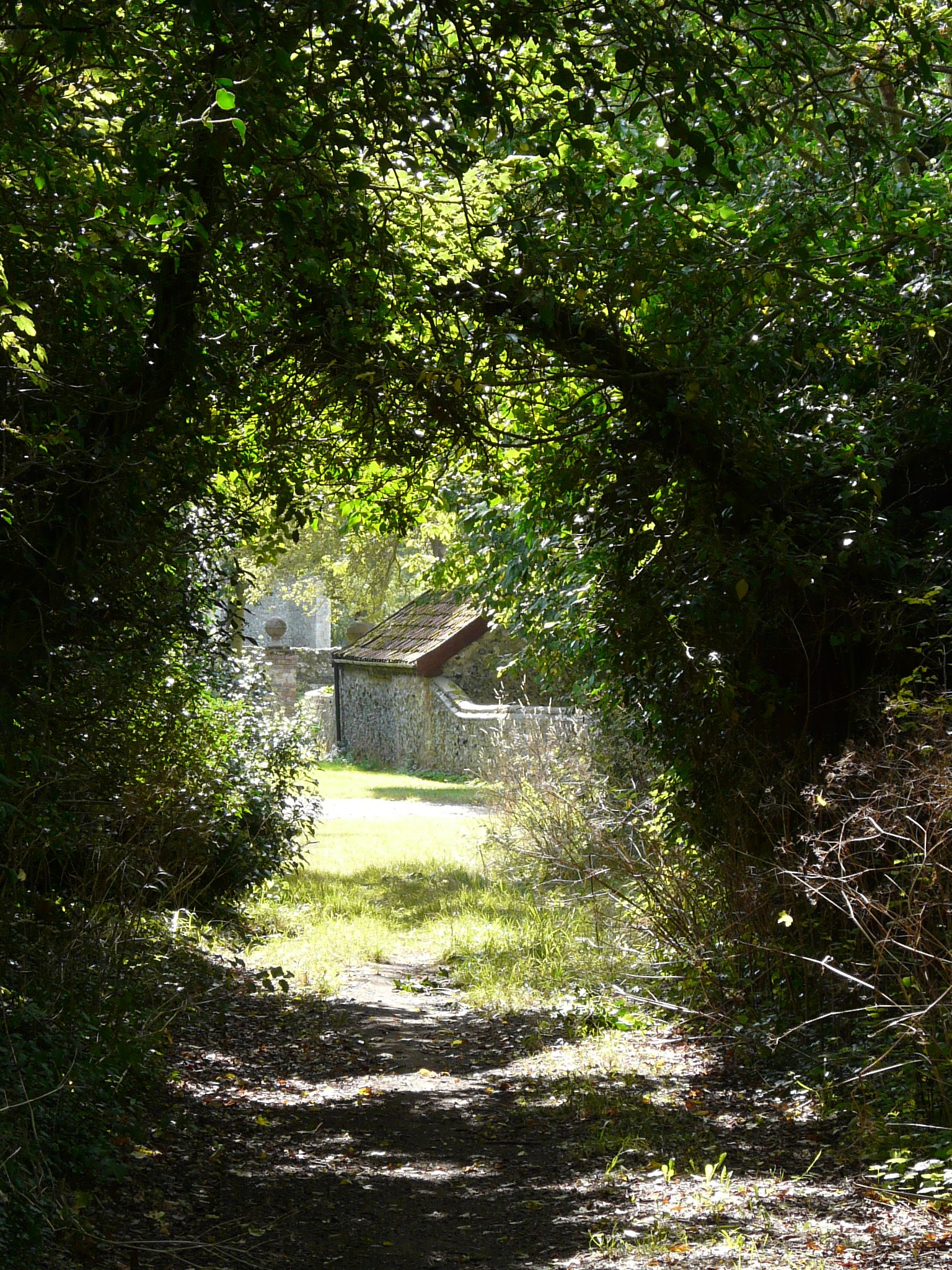 Cindy's Snaps: Beeches Pit, West Stow, Suffolk