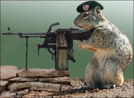 Ricks Extra Long Summer . . . .: Squirrels with machine guns